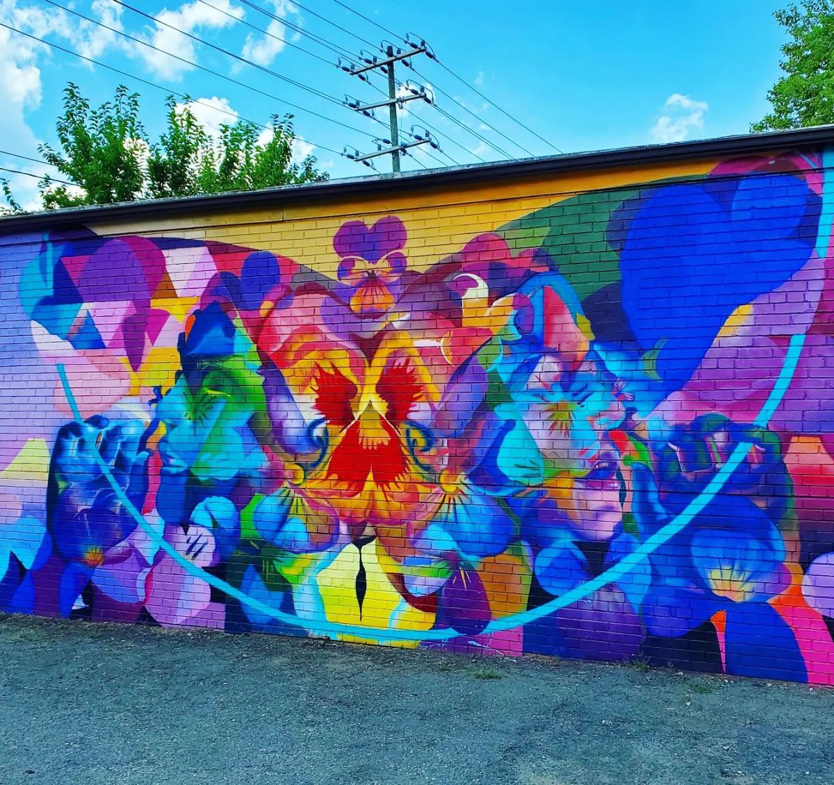 Queen City in Rainbows: Charlotte’s NoDa District, Murals, & McGill ...