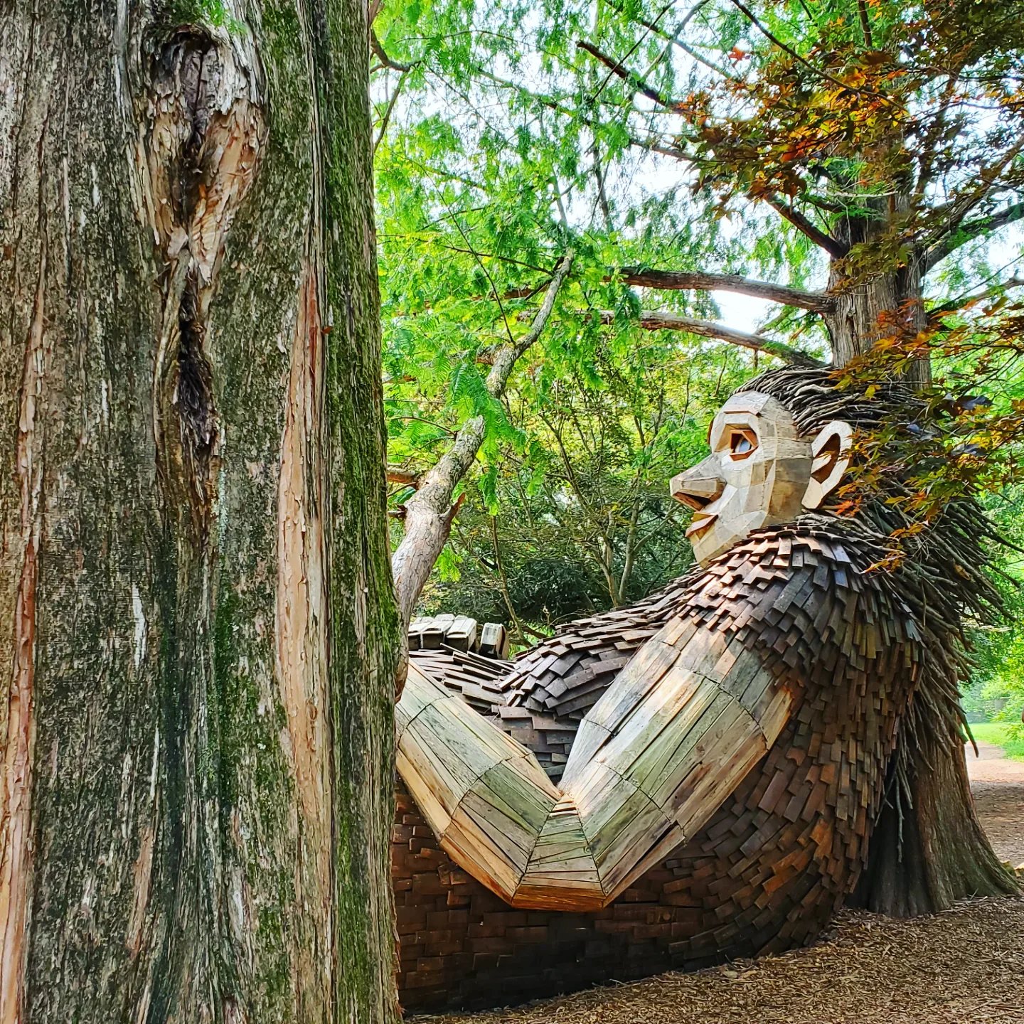 Bernheim Forest: A Magickal Picnic with Giants – Fernweh, An Ache for ...