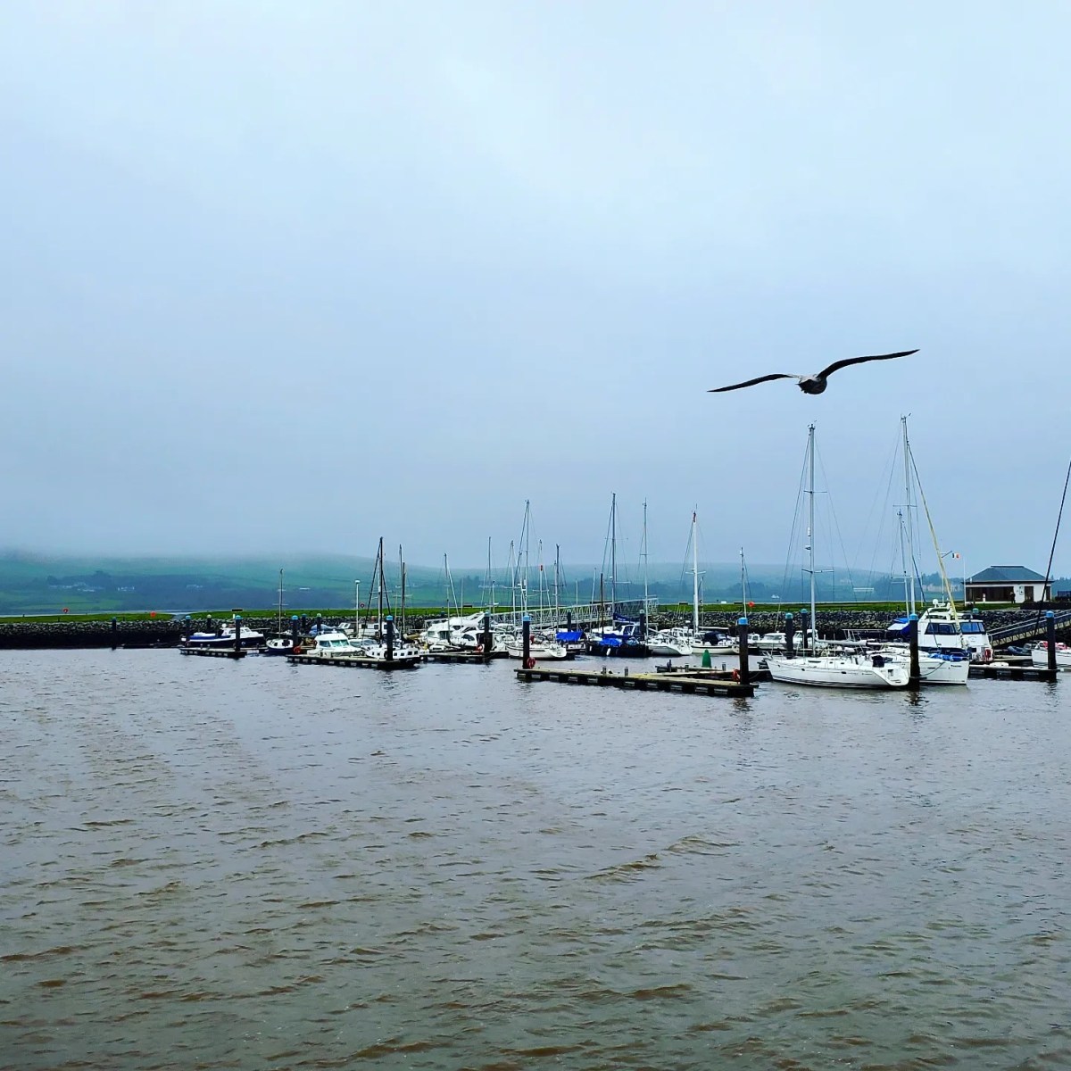 Dingle Peninsula, Slea Head Drive, & Conor Pass Marine National Park ...