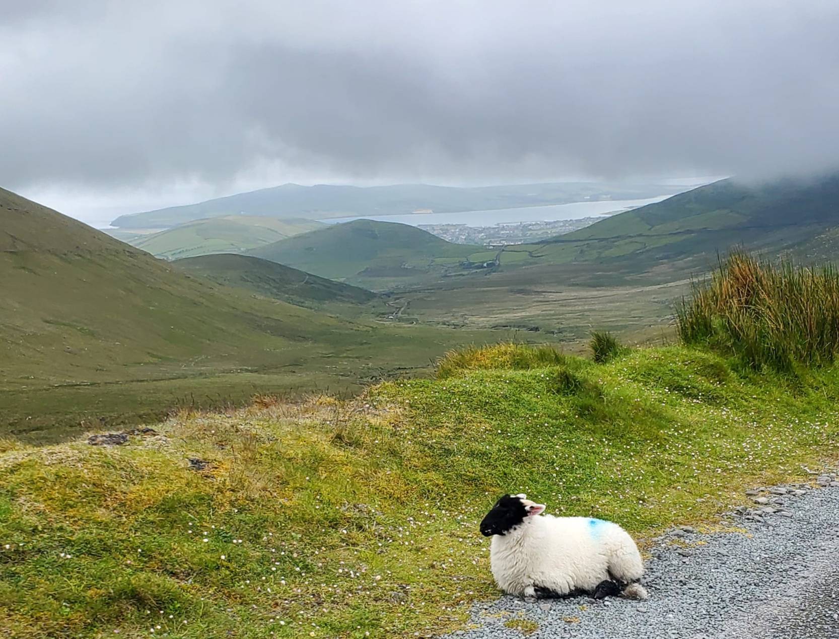 Dingle Peninsula, Slea Head Drive, & Conor Pass Marine National Park ...