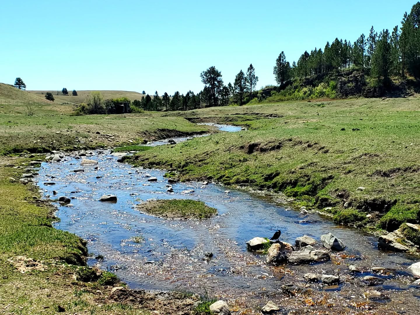 Wind Cave National Park, Battle for the Black Hills, & The Lakota ...