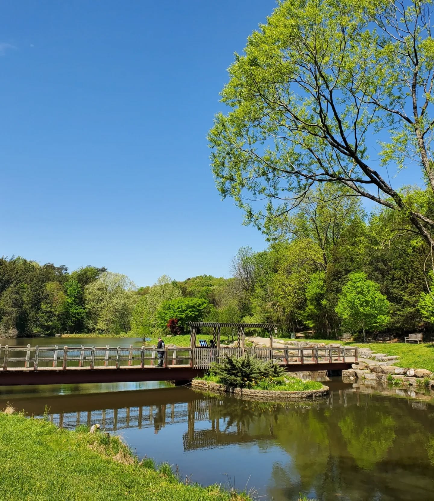 Bernheim Forest: A Magickal Picnic with Giants – Fernweh, An Ache for ...